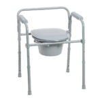 Commode Seat/Commode Chair - Regino