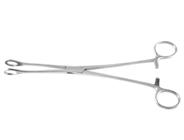 Foerster Sponge Forceps 10-Inch – Surgical Sponge Holding - Regino ...